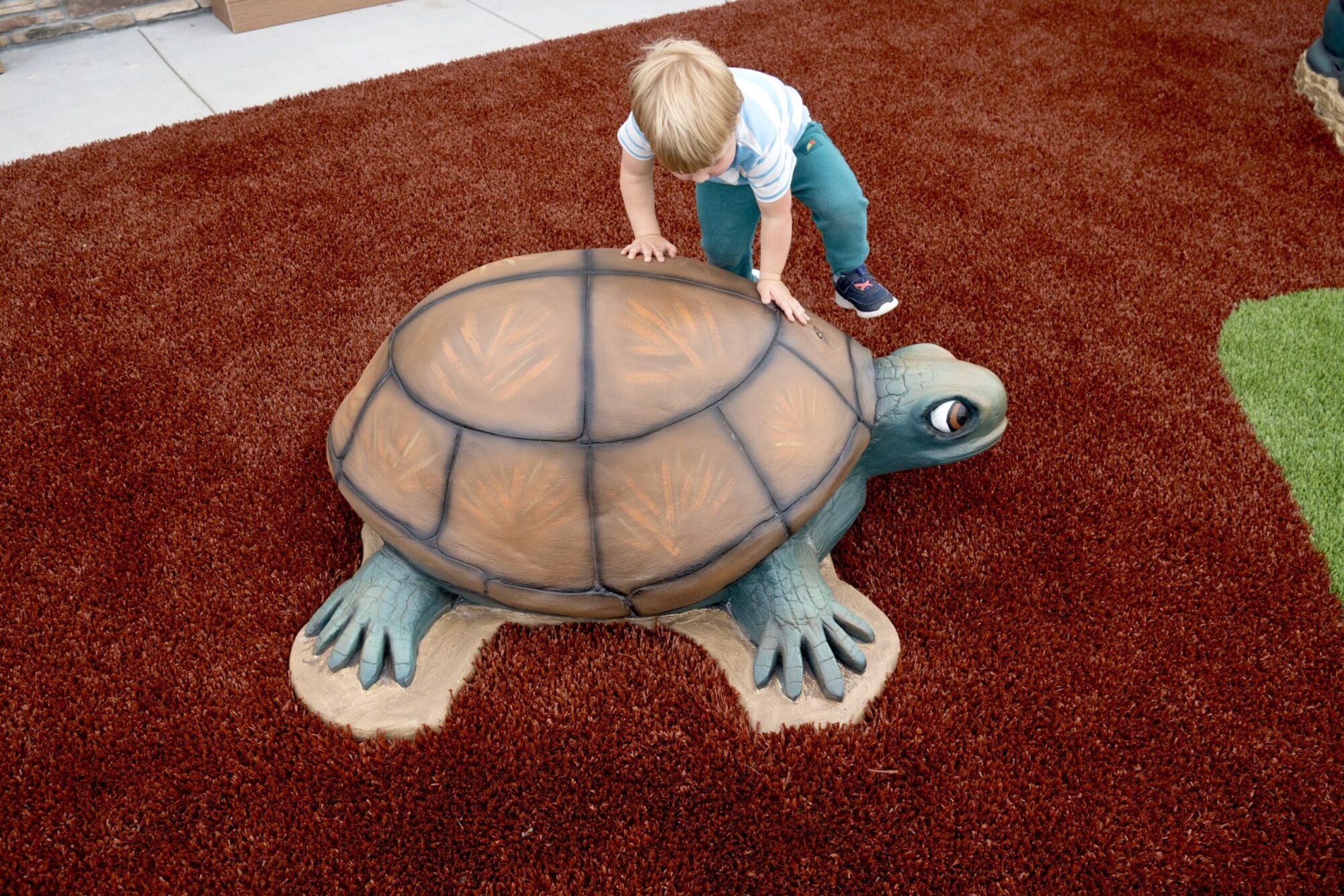 Turtle Climber - Cre8Play